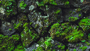 George Bowring appointed as Head of Energy Casualty - Oneglobal